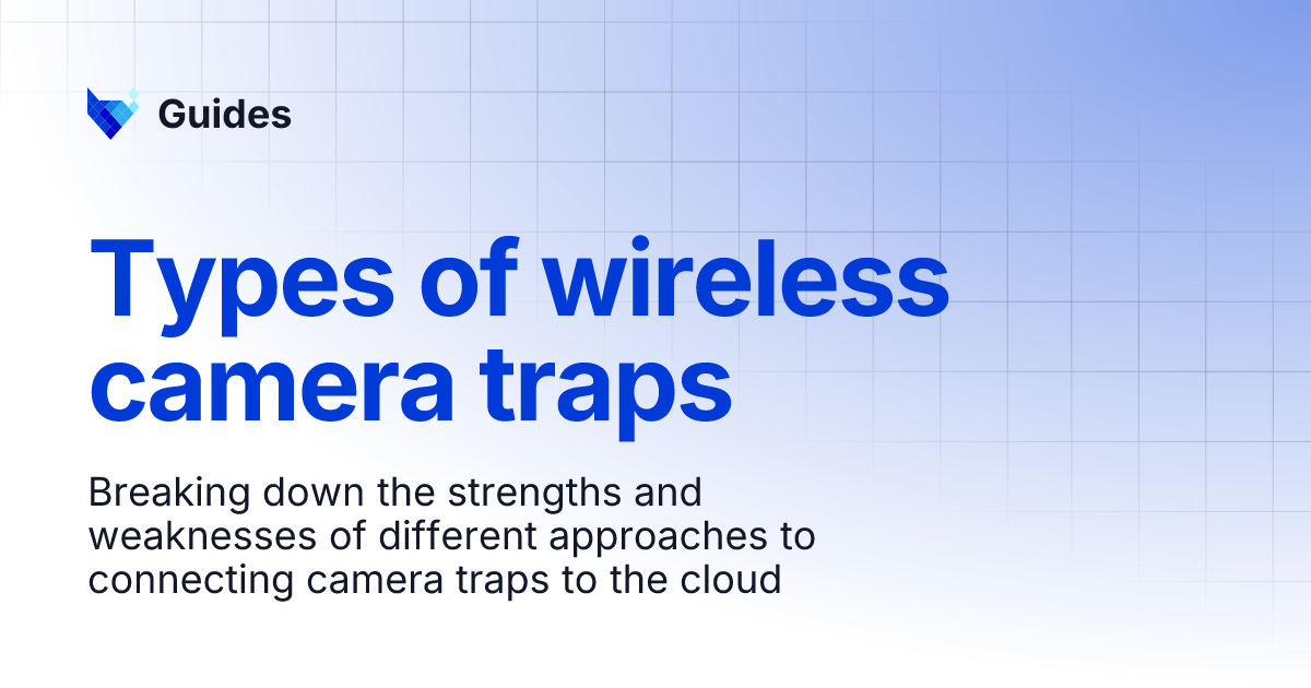 Types of wireless camera traps | Guides